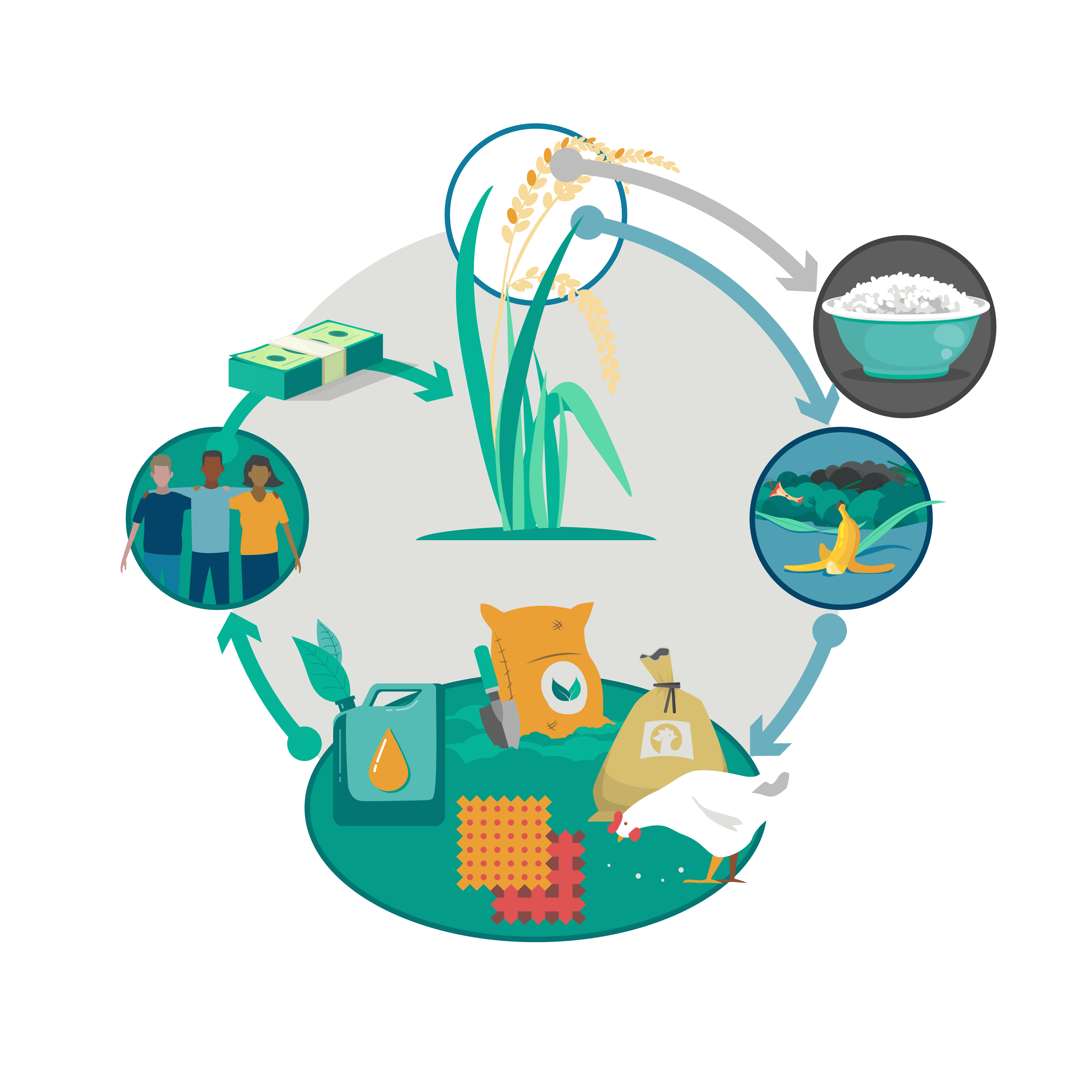 Platform for Accelerating the Circular Economy